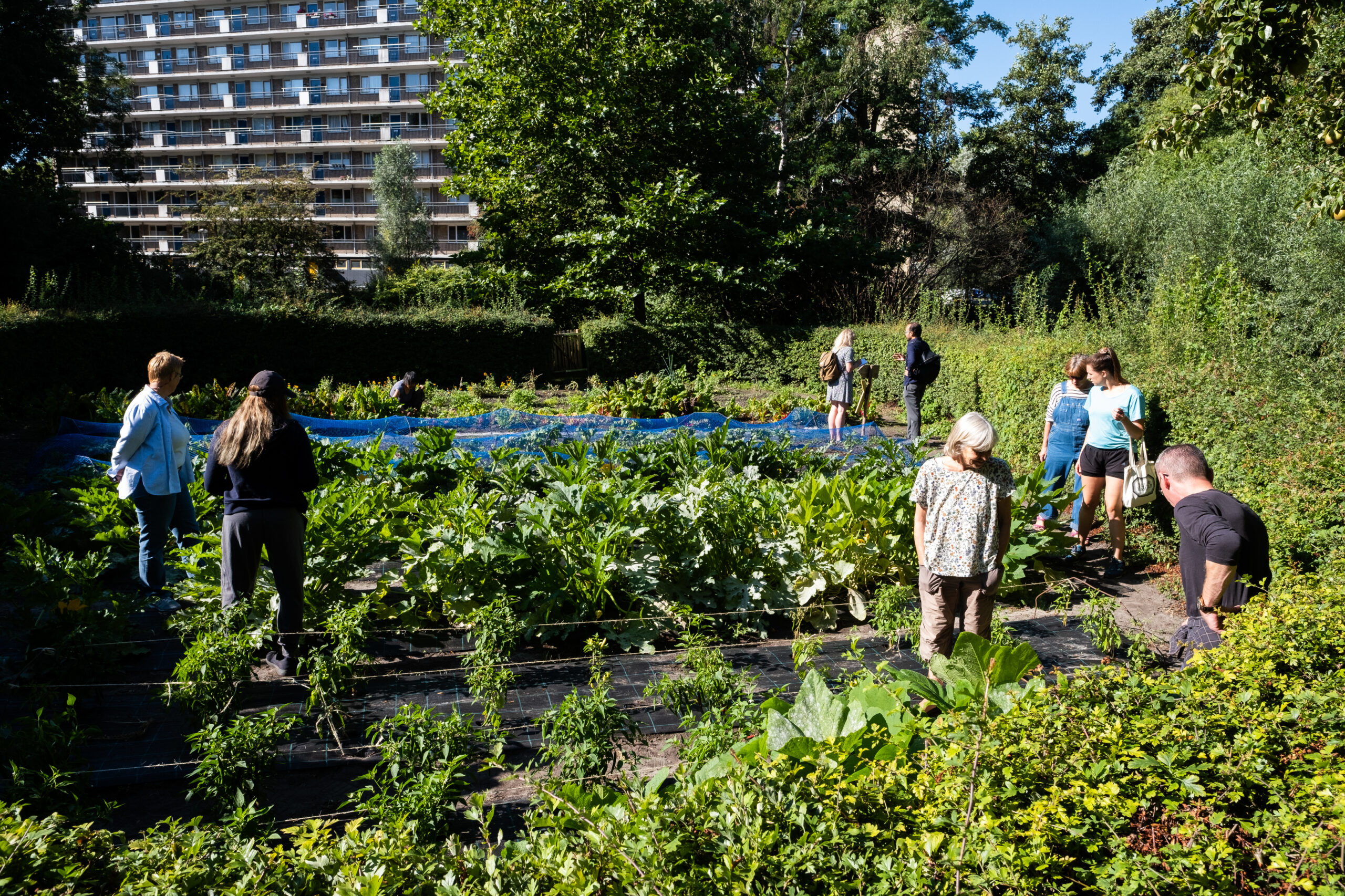 Partners Groene Matties brachten bezoek aan Boerendorp - Groene Matties